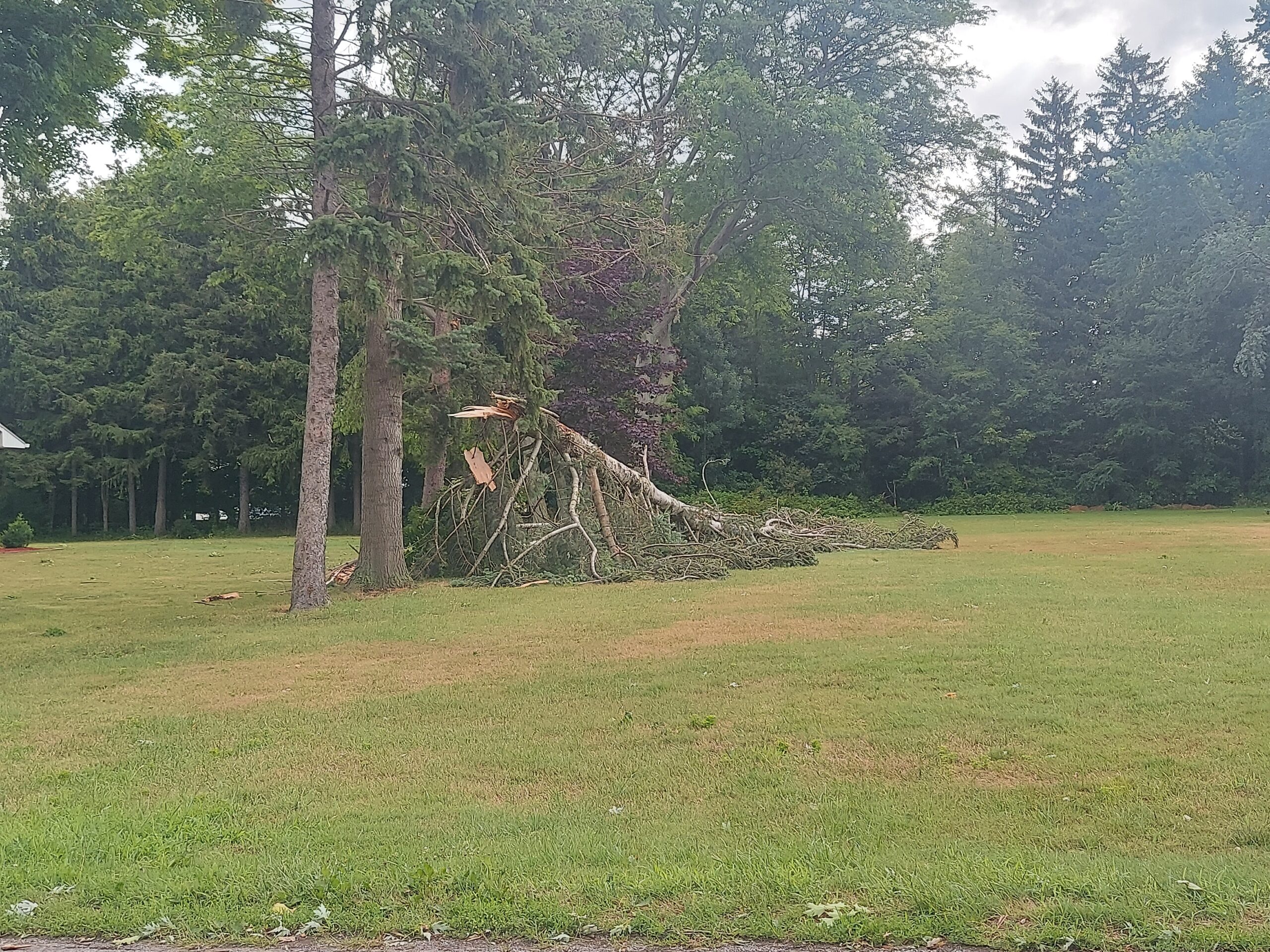 7.25.22 Storm damage 02 | News, Sports, Jobs - Observer Today